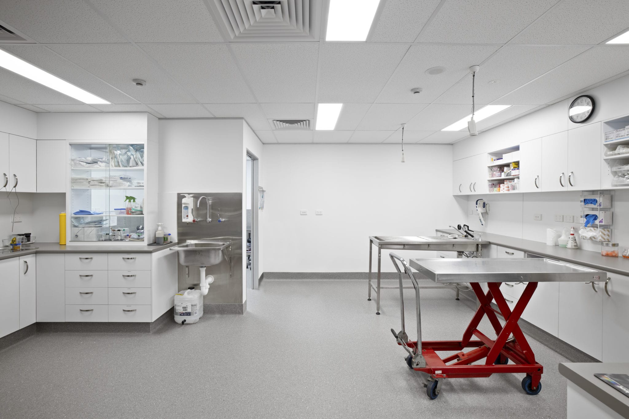 Functional & Efficient Veterinary Surgery - Commercial Fitouts
